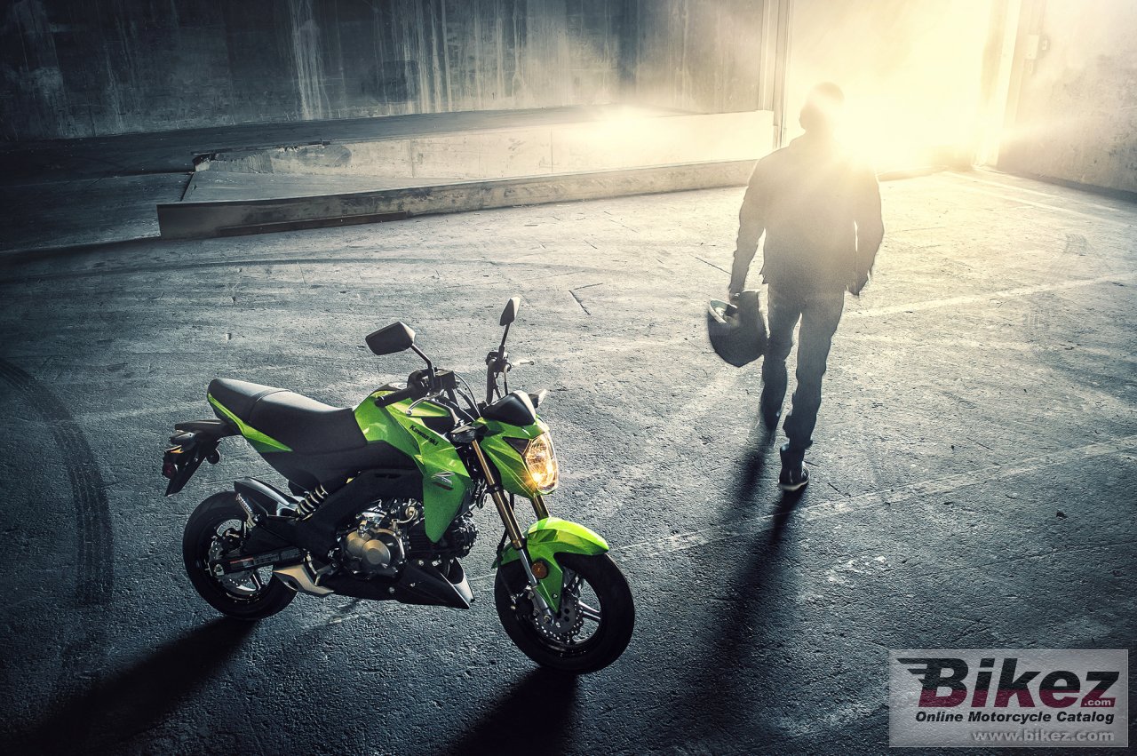 Kawasaki Z125 Pro poster